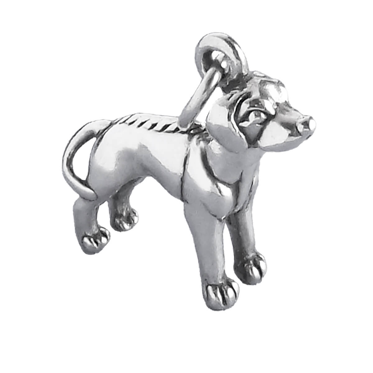 Rhodesian Ridgeback Dog Charm | Sterling Silver Pendant – Charmarama